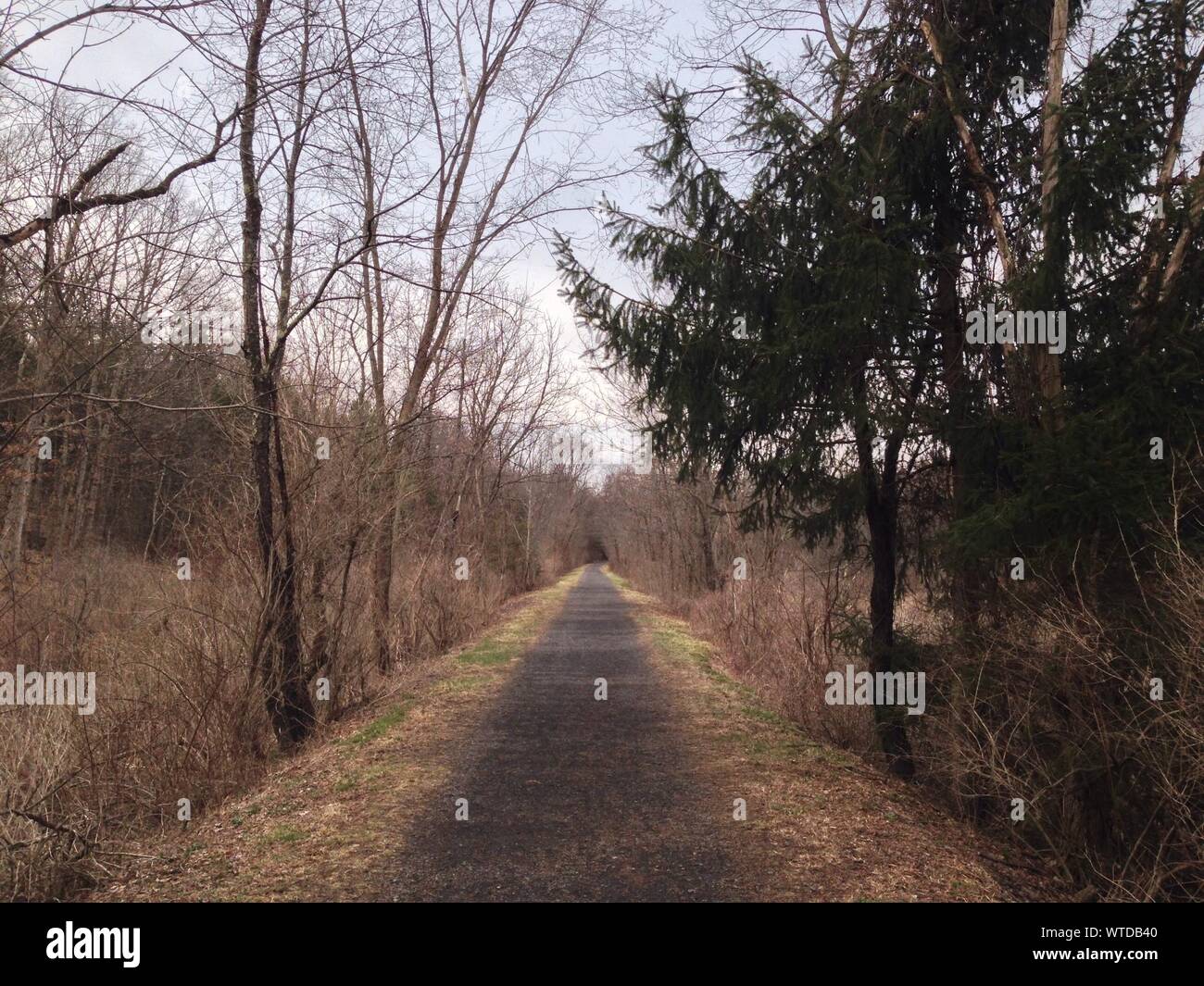 Trees on both sides hi-res stock photography and images - Alamy