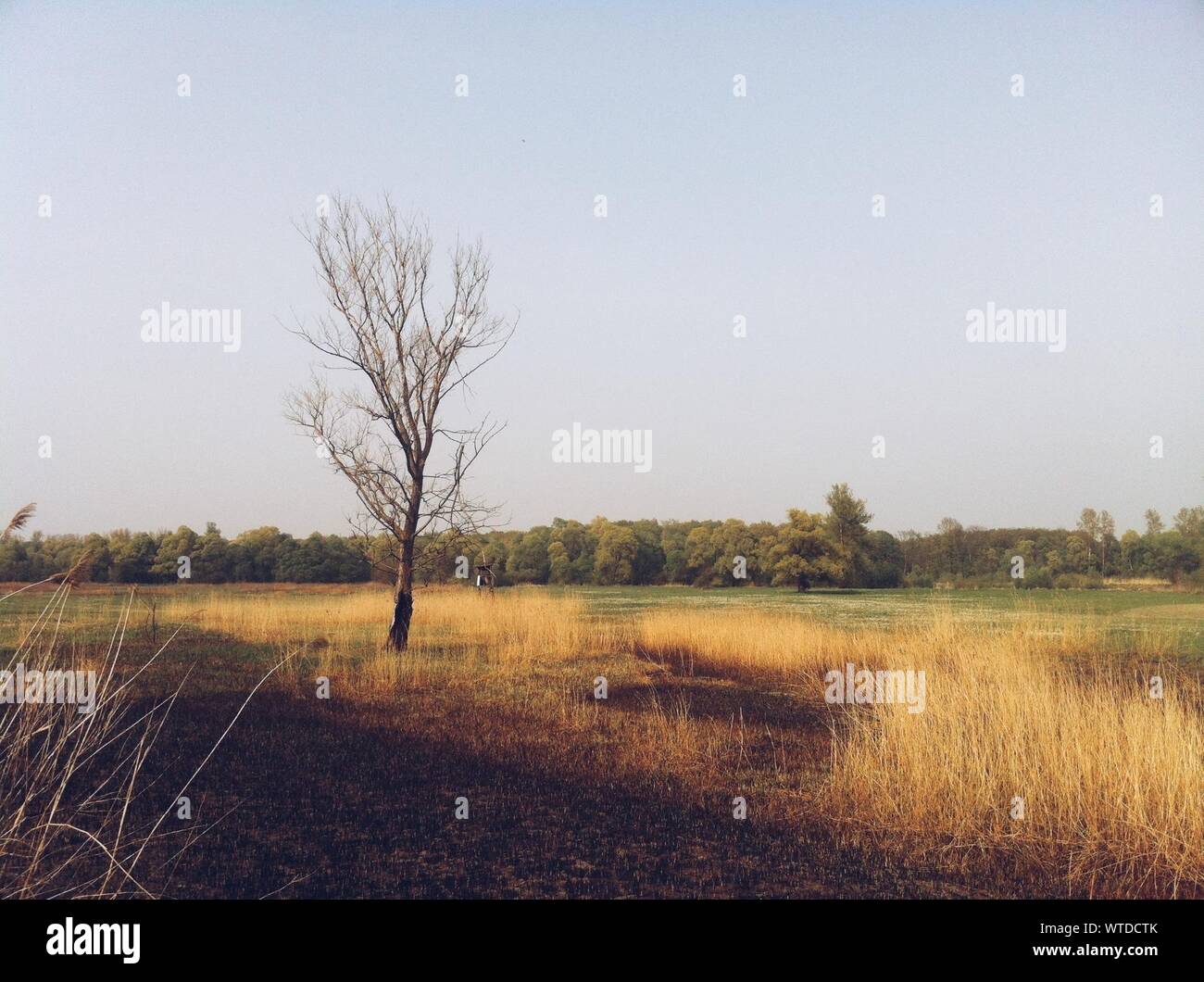 Most beautiful nature hi-res stock photography and images - Alamy