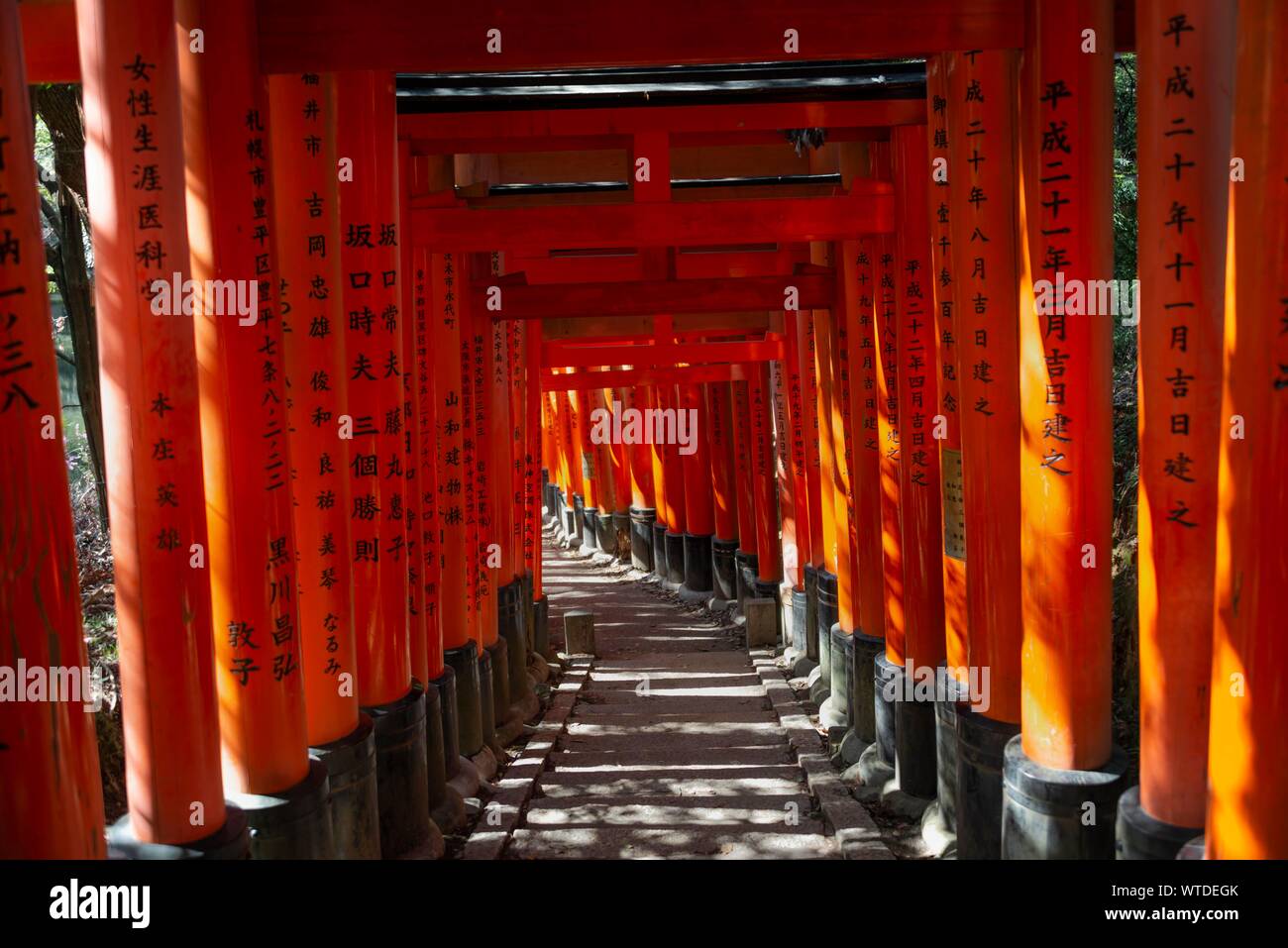 Fushimi Inari Taisha, Shinto Shrine, many traditional red Toriii gates ...