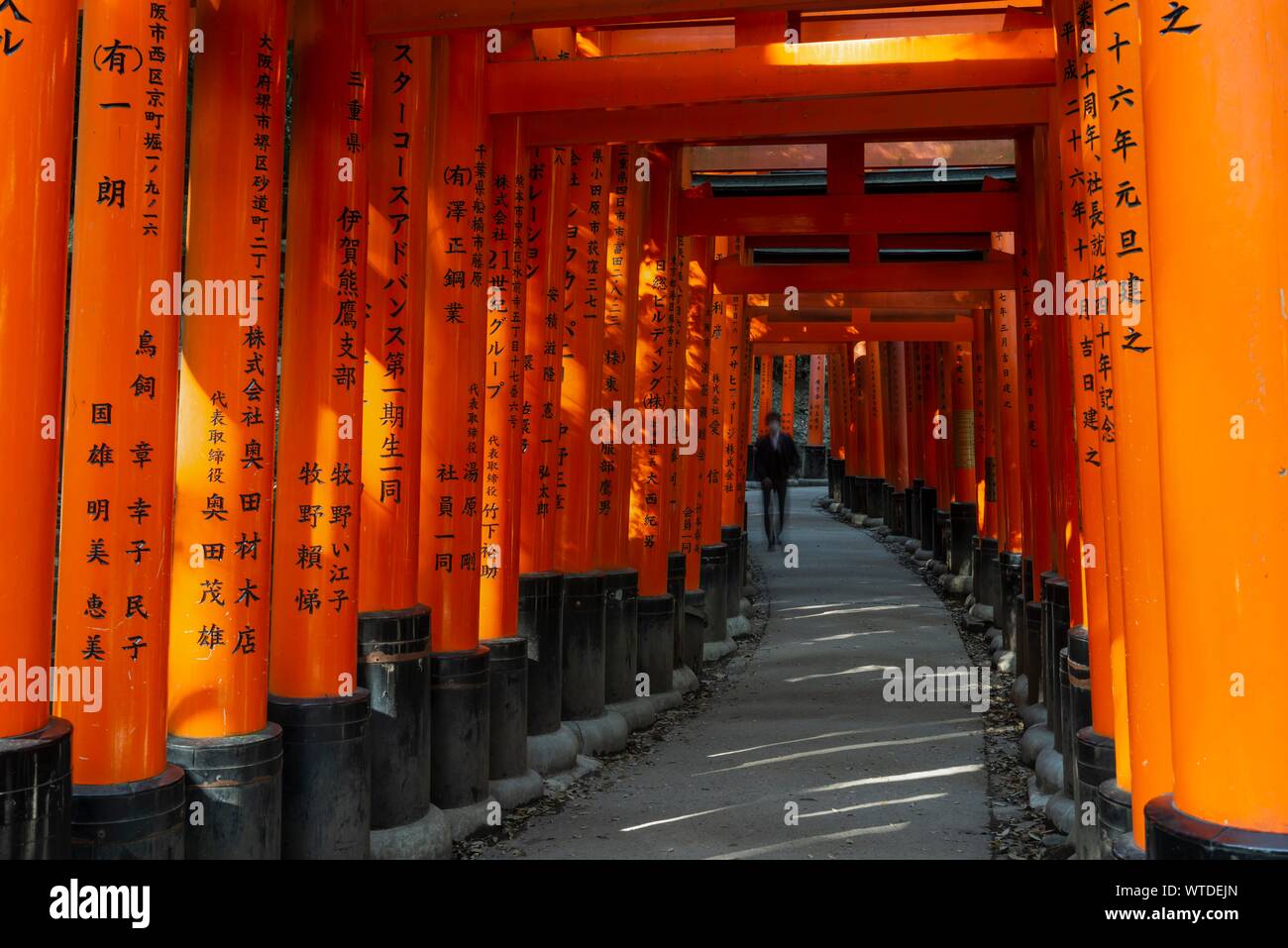 Pedestrians at Fushimi Inari Taisha, Shinto shrine, many red ...