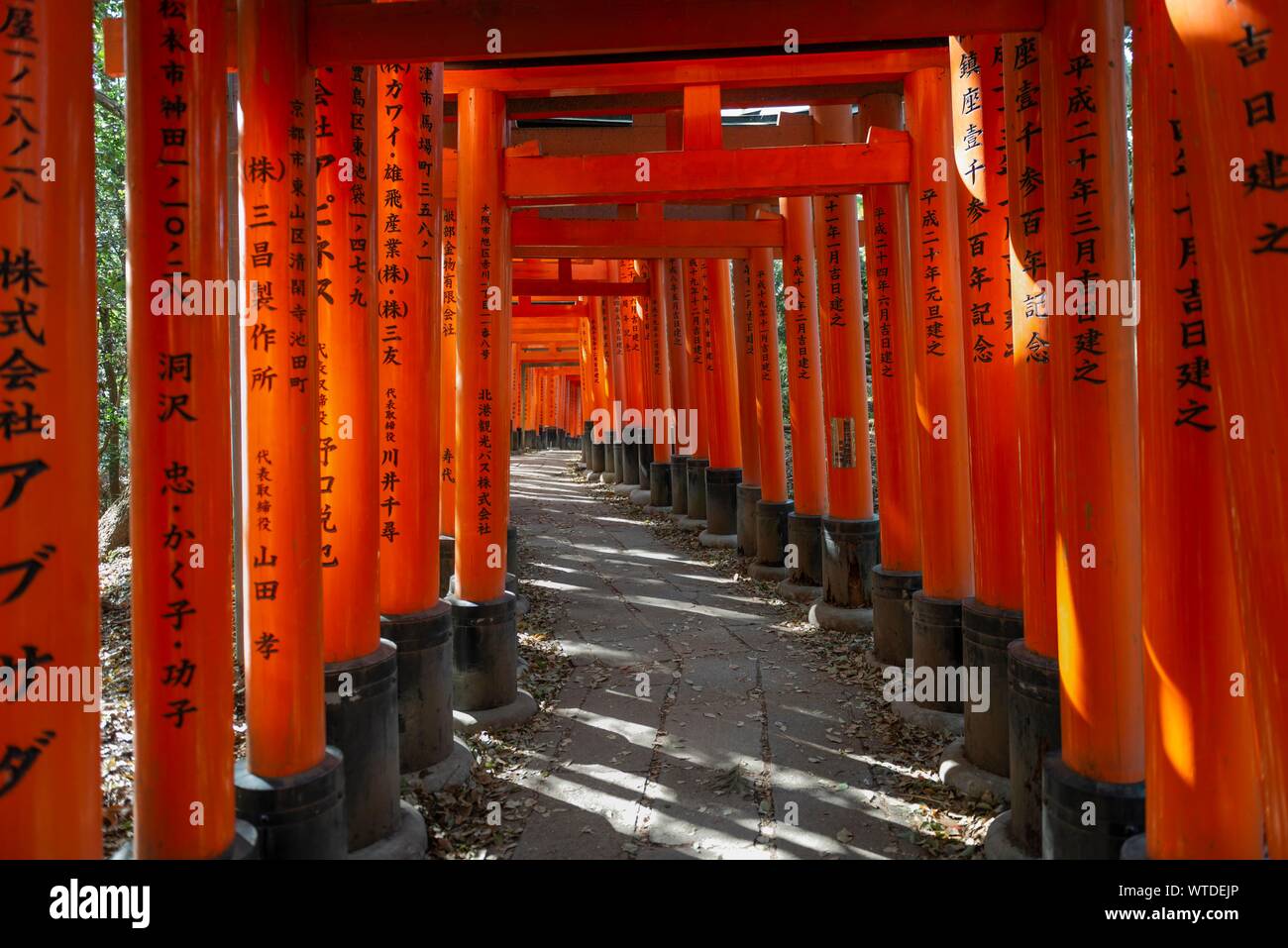 Shinto gates hi-res stock photography and images - Alamy