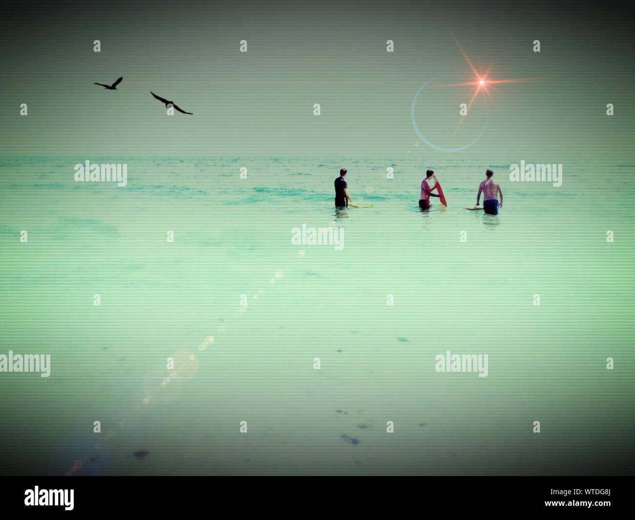 Deep sea birds hi-res stock photography and images - Alamy