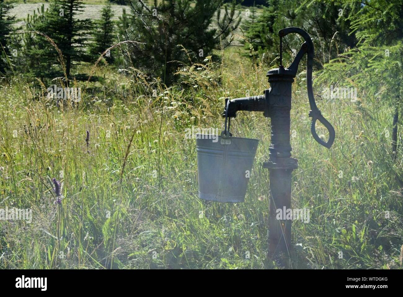 Water pump and bucket hi-res stock photography and images - Alamy