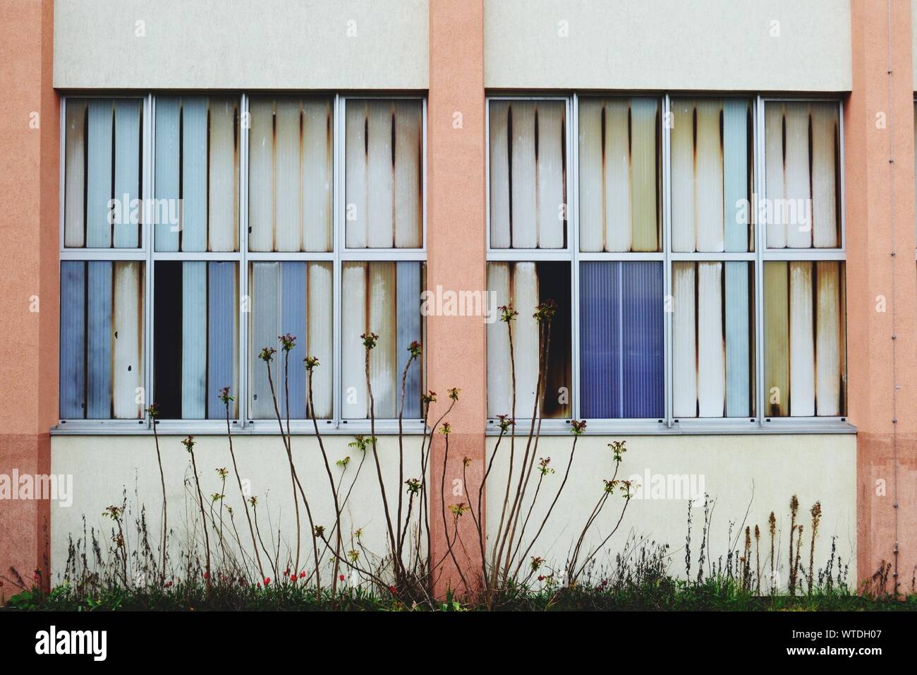 Windows house hi-res stock photography and images - Alamy