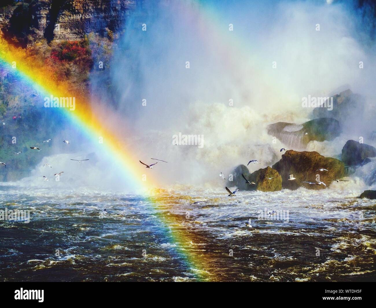Large view of rainbow hi-res stock photography and images - Alamy