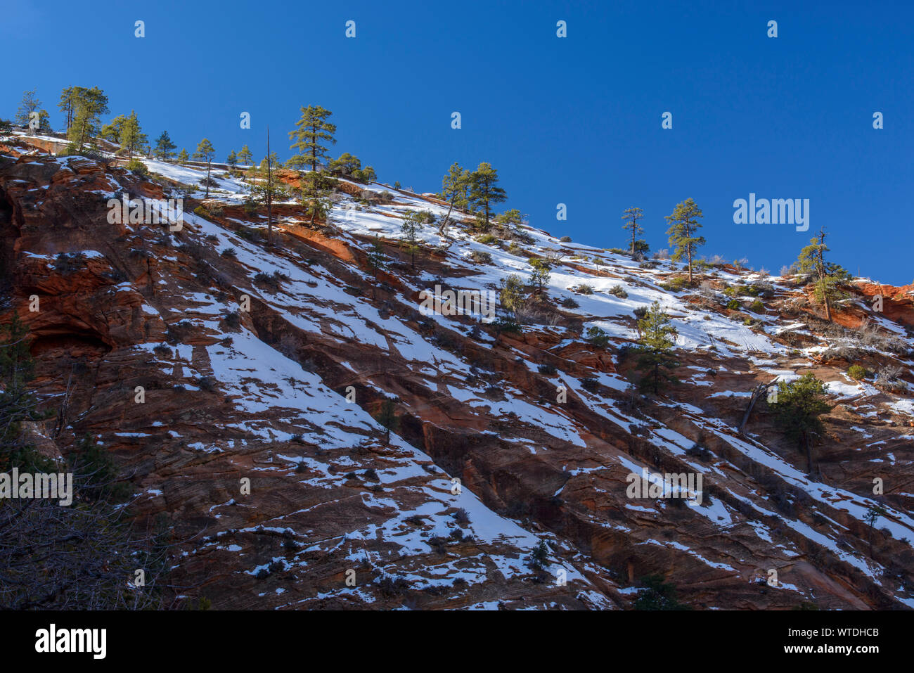 Slickrock formations- beehive formations, Zion National Park, Utah, USA ...
