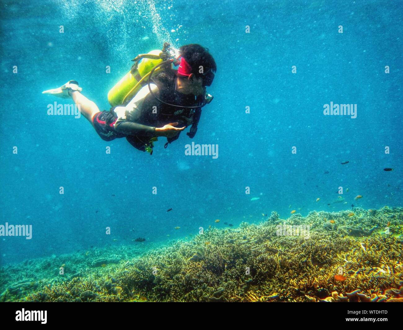 Diving under water hi-res stock photography and images - Alamy