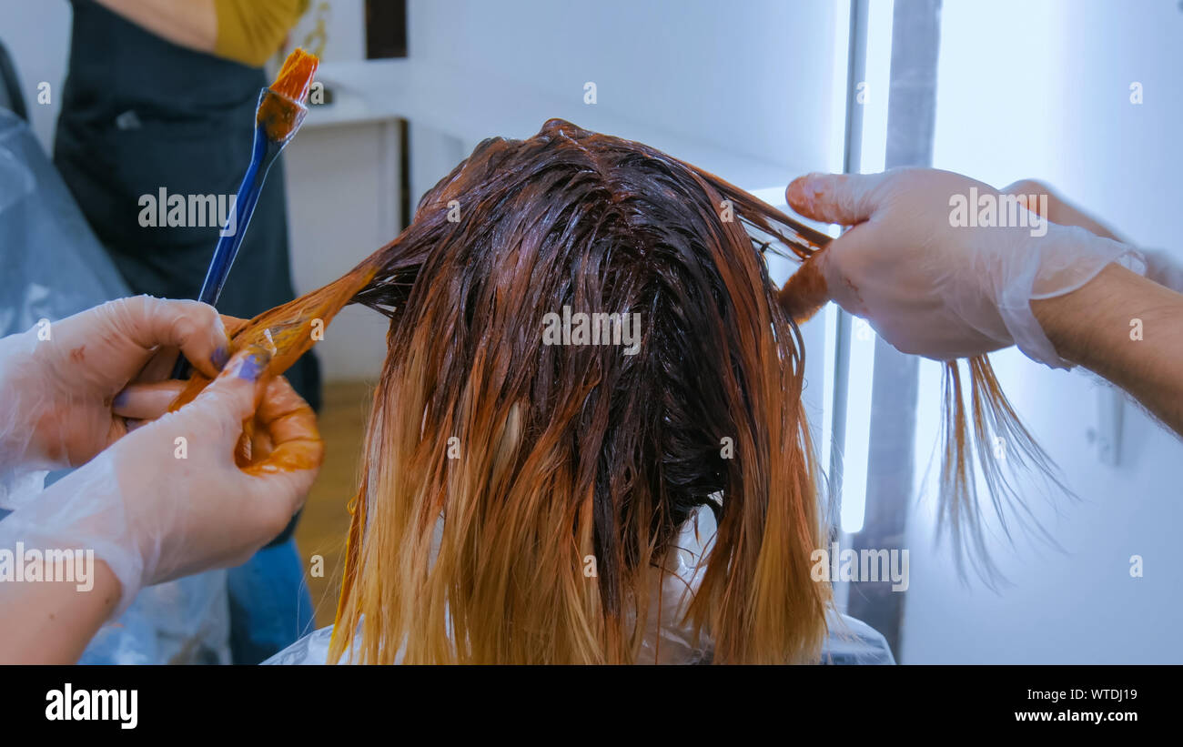 Two professional hairdressers coloring hair of woman client at studio ...