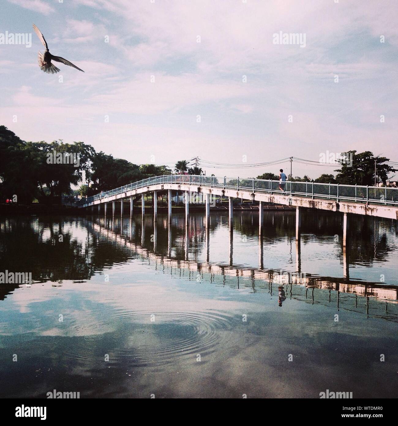 Flying bridge hi-res stock photography and images - Alamy