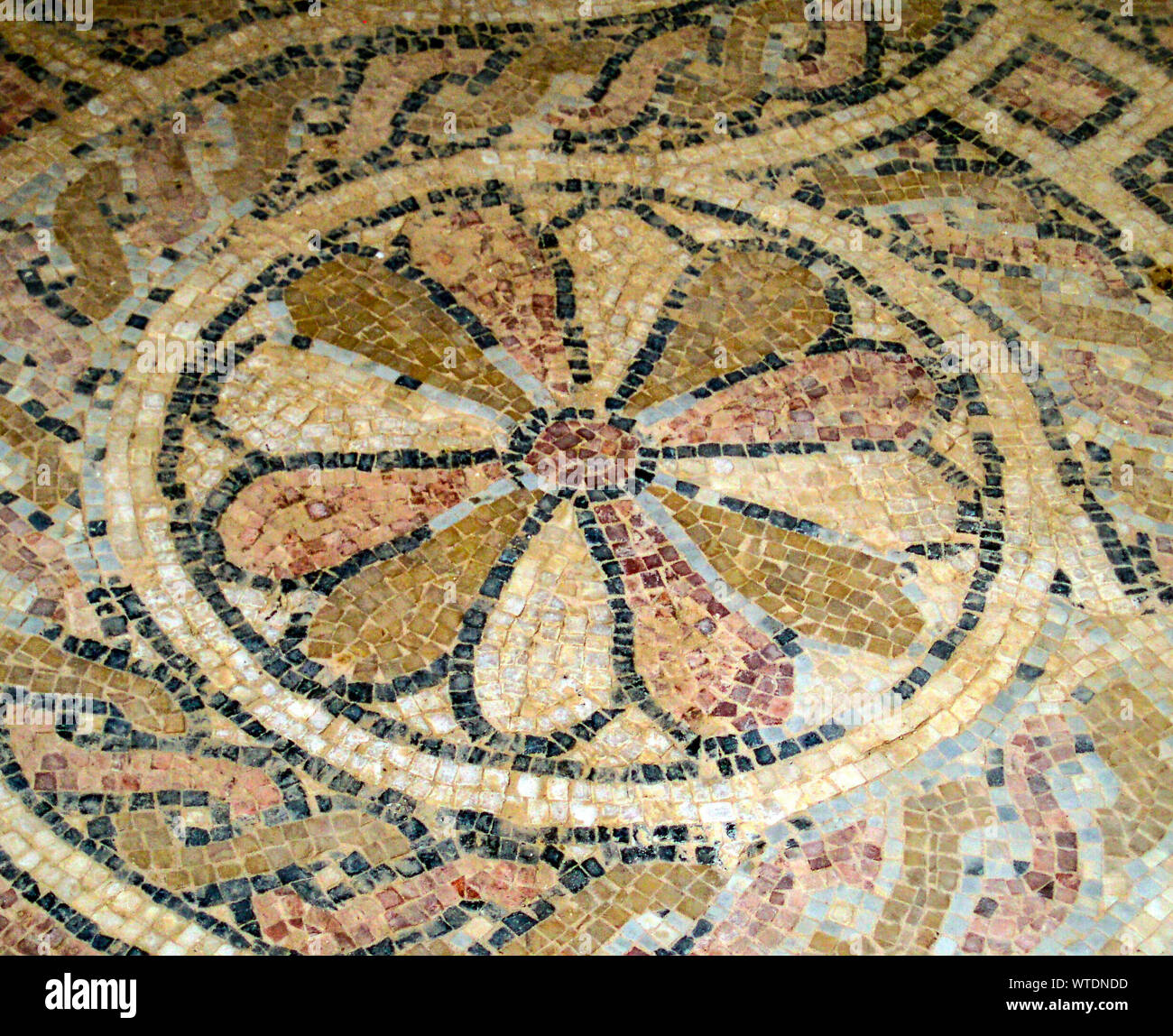 Mosaic flooring pattern hi-res stock photography and images - Alamy