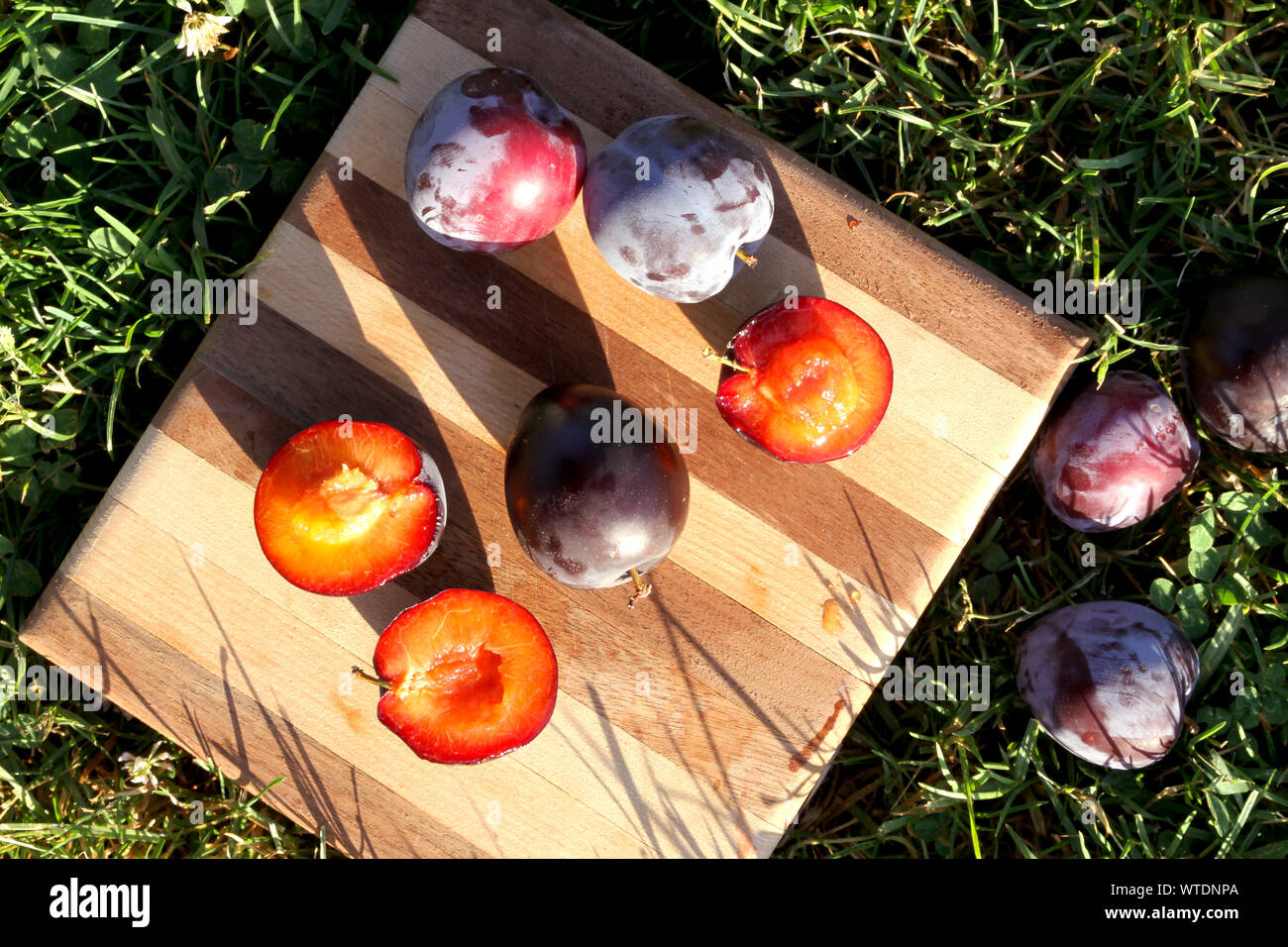 Fresh Santa Rosa Plums in California Stock Photo - Alamy