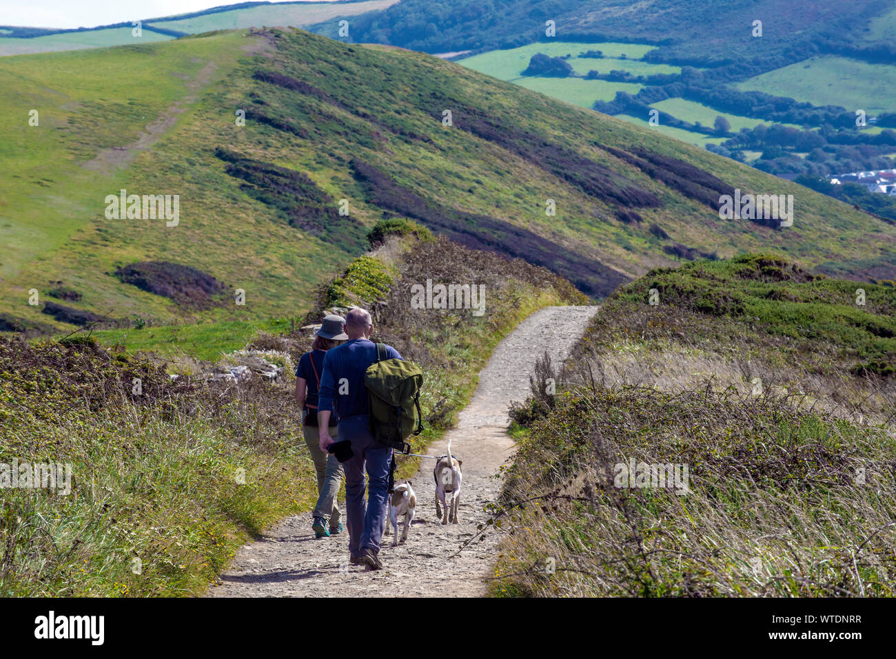 Walkers with backpack and two dogs walking on Baggy Point, Croyde, Nr ...