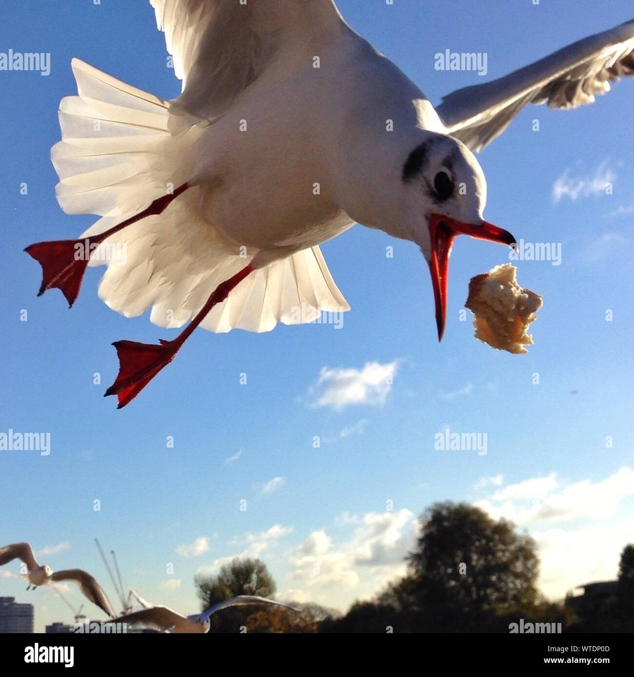 Air food hi-res stock photography and images - Alamy