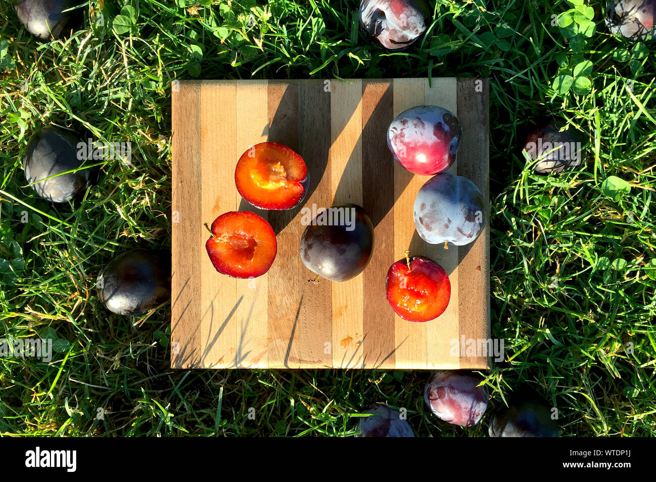 Fresh Santa Rosa Plums in California Stock Photo - Alamy