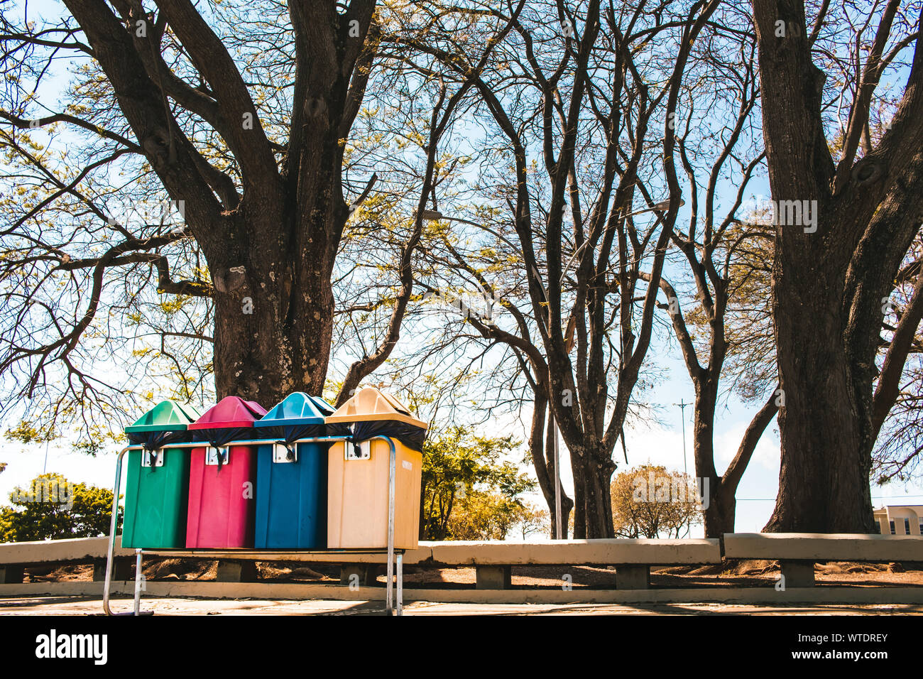 Selective waste collection hi-res stock photography and images - Alamy