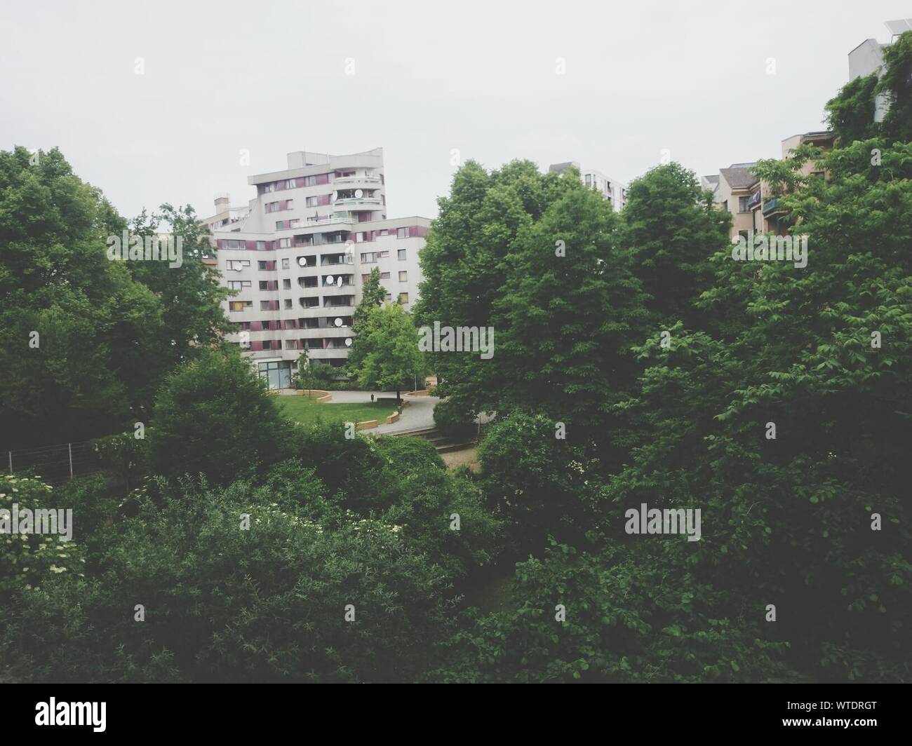 Through greenery hi-res stock photography and images - Alamy
