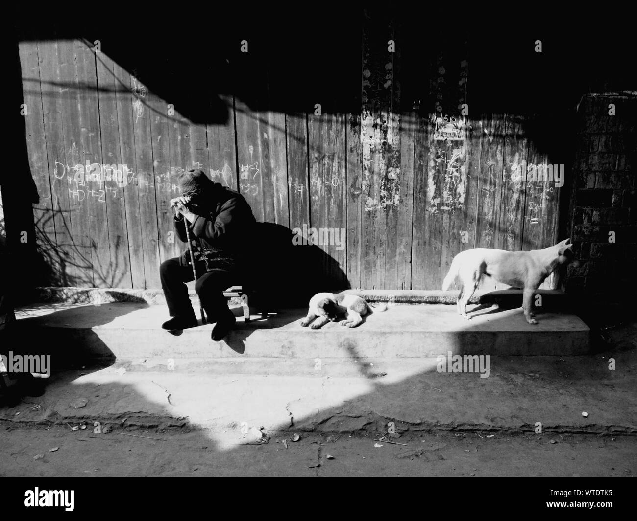 Homeless man dog hi-res stock photography and images - Alamy