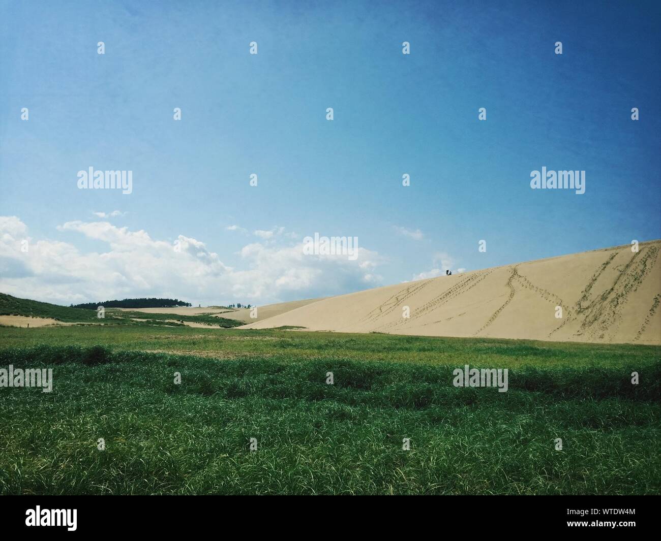Mobile dunes hi-res stock photography and images - Alamy