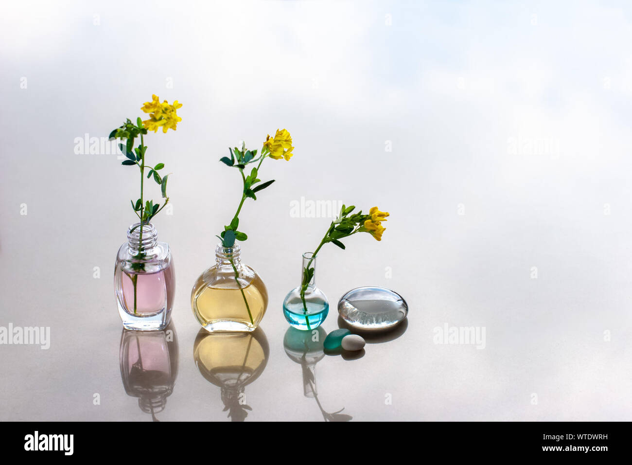 Different heights of flowers hi-res stock photography and images - Alamy