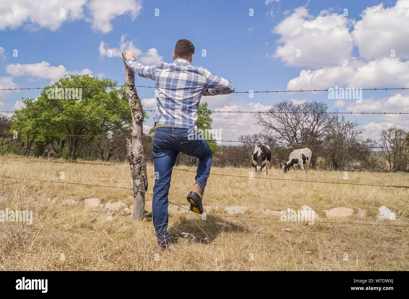 Checkered fence hi-res stock photography and images - Alamy