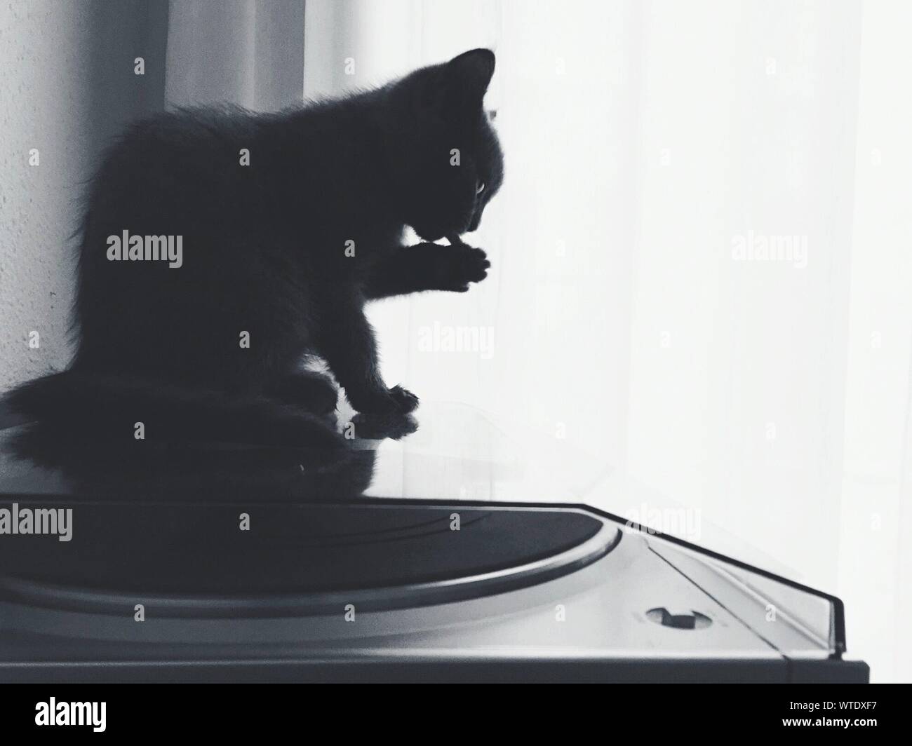 Sitting player hi-res stock photography and images - Alamy