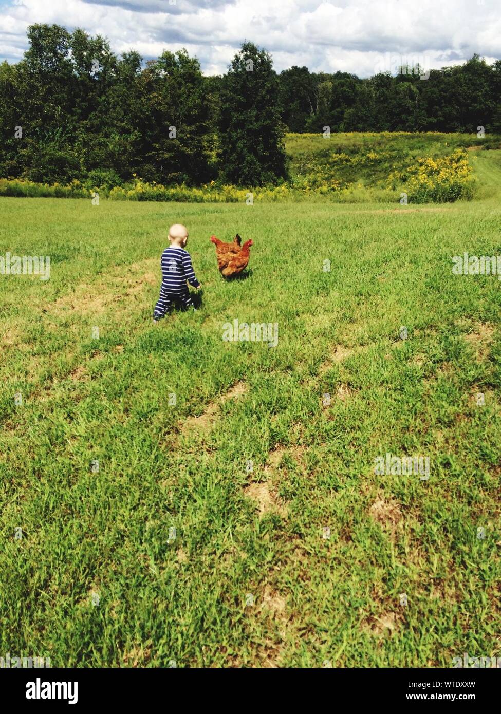 Two boys with chicken hi-res stock photography and images - Alamy
