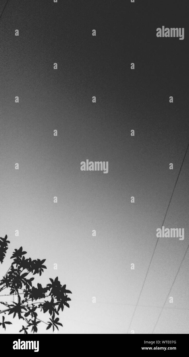 Electricity branch hi-res stock photography and images - Alamy