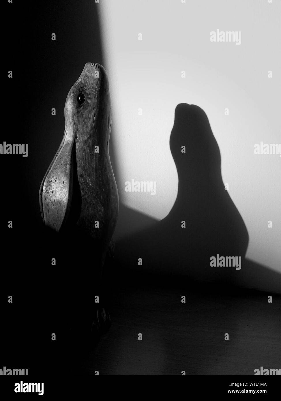 Animal illusion hi-res stock photography and images - Alamy