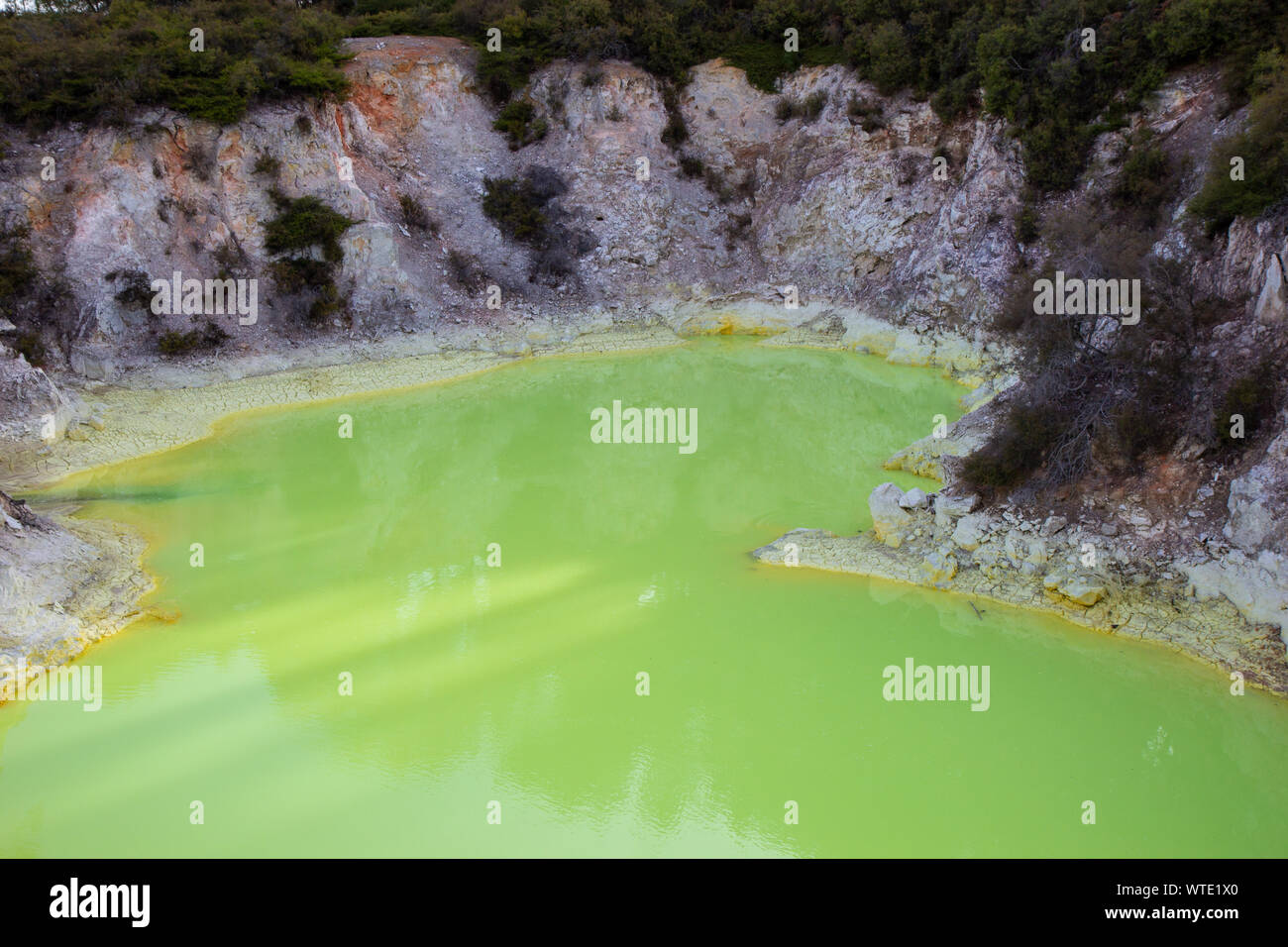 The Devil's Bath at Wai-O-Tapu geothermal area Stock Photo - Alamy