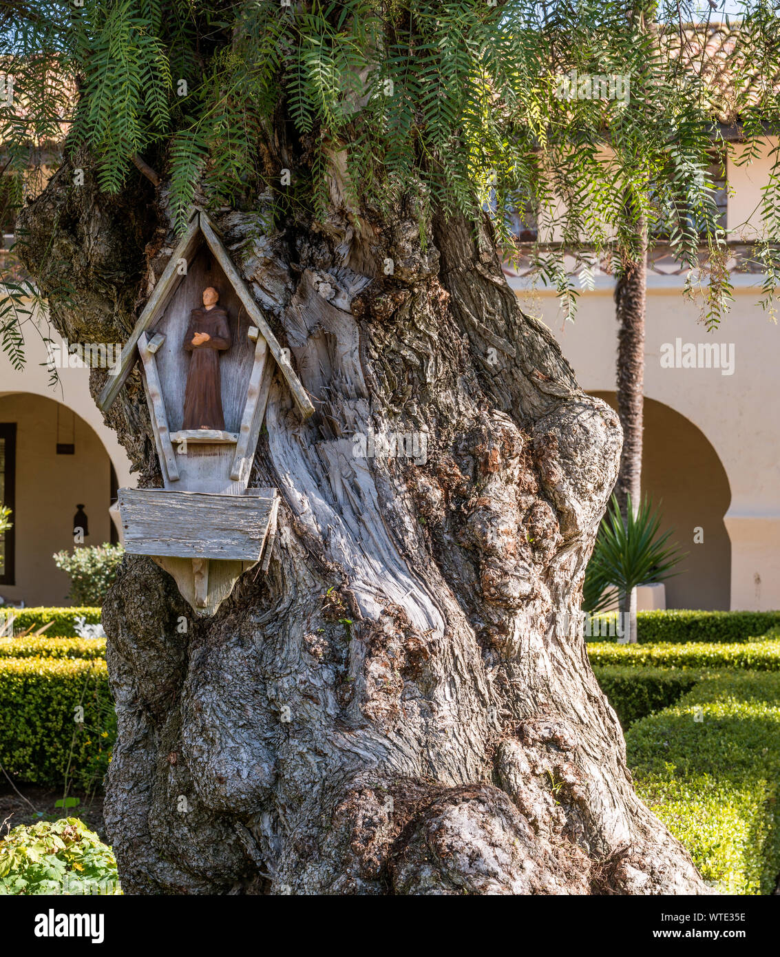 Miniature mission attached to a tree outside Santa Inés Mission in ...