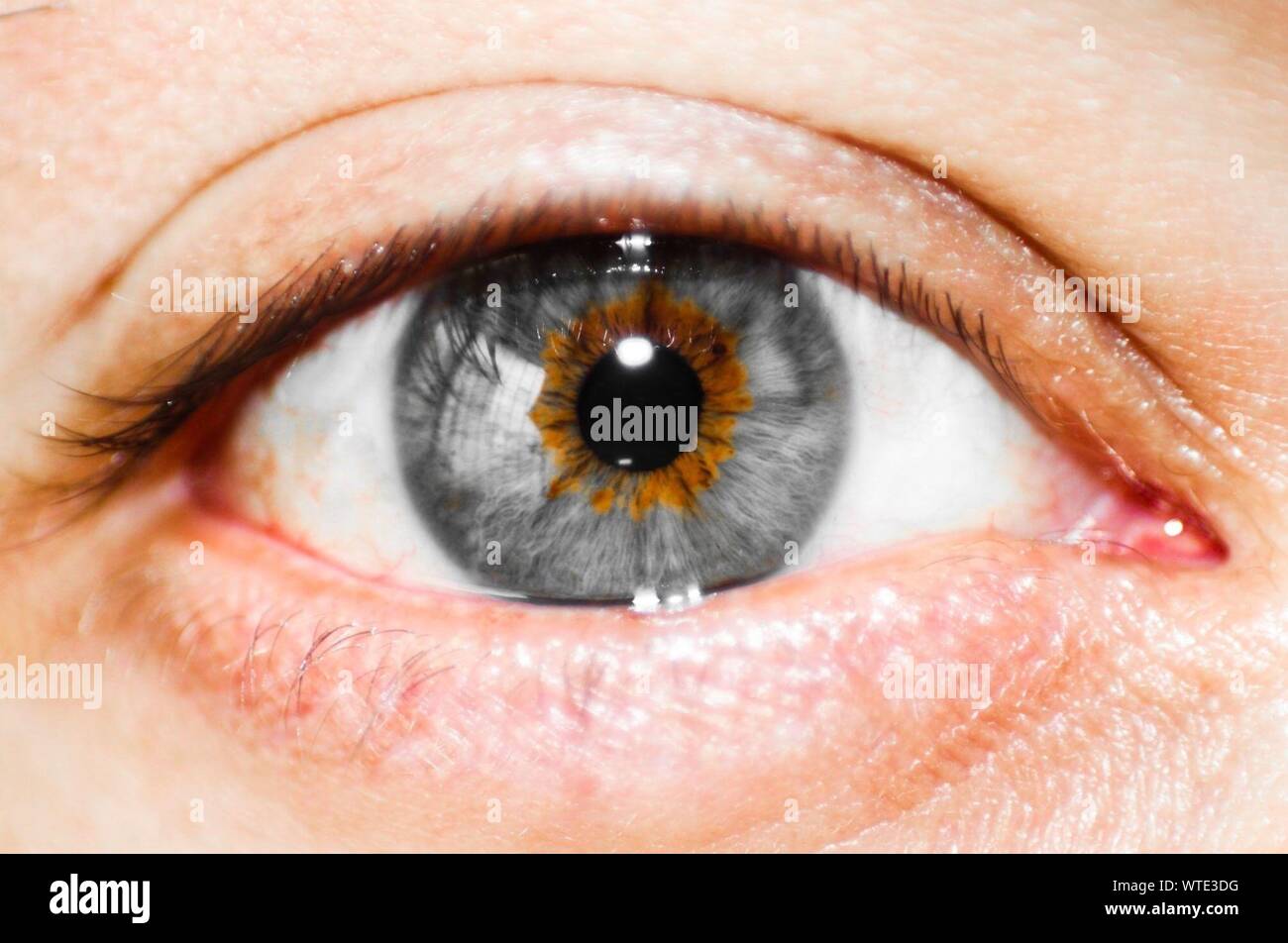 Human gaze hi-res stock photography and images - Alamy