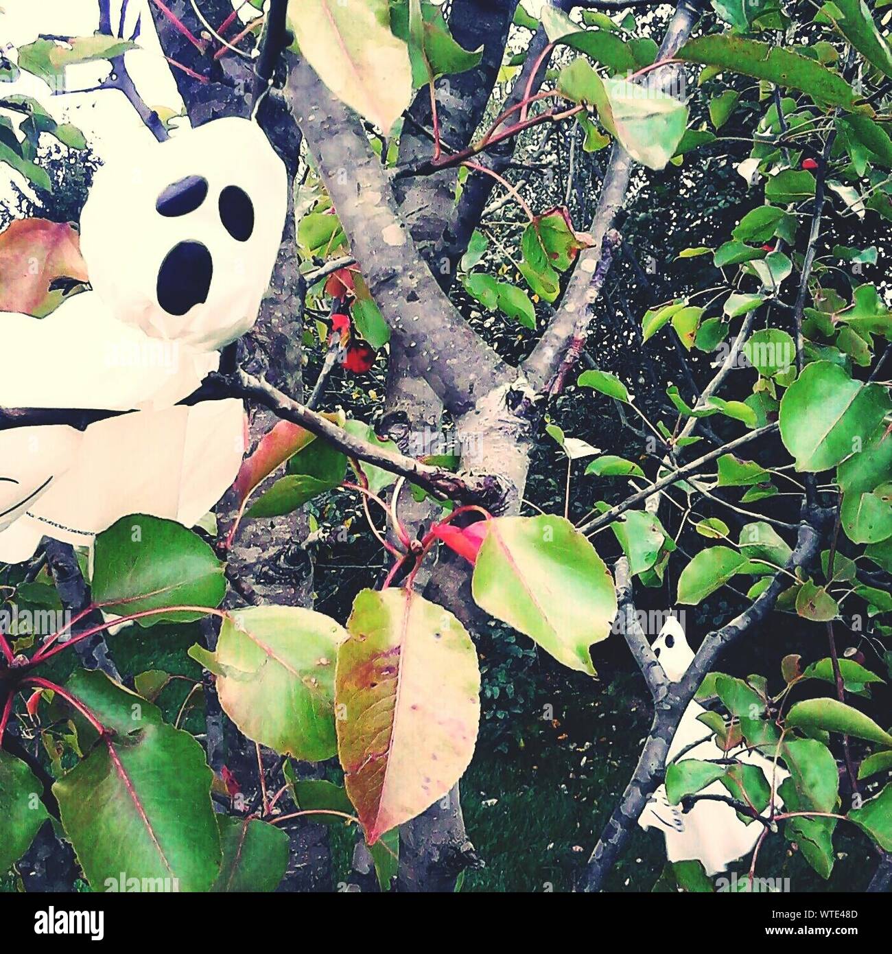 Hanging ghost hi-res stock photography and images - Alamy