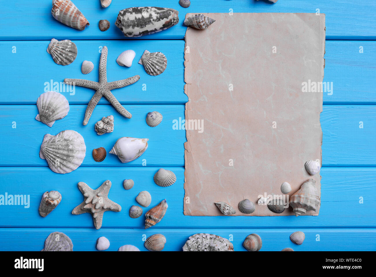 Marine still life on wooden background Stock Photo - Alamy