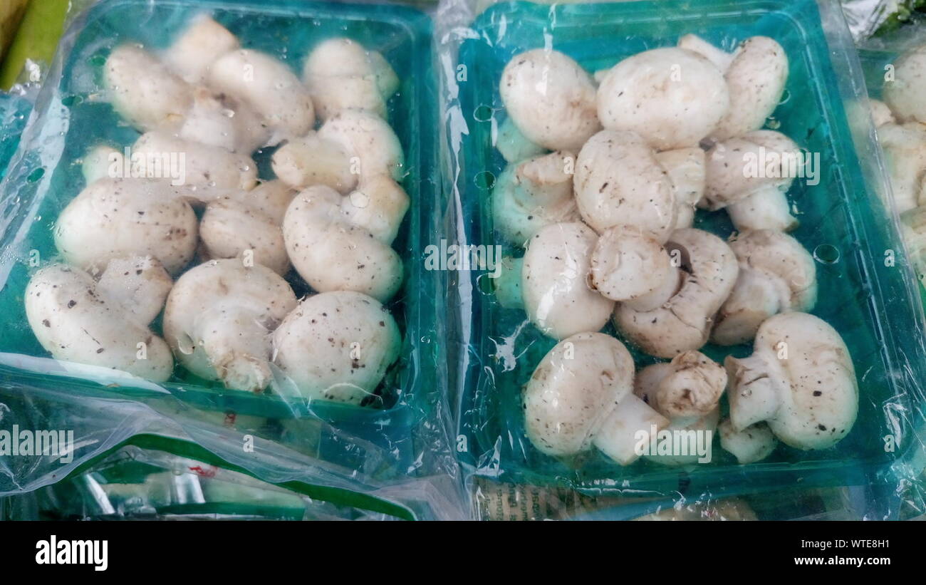 Packet of mushrooms hi-res stock photography and images - Alamy