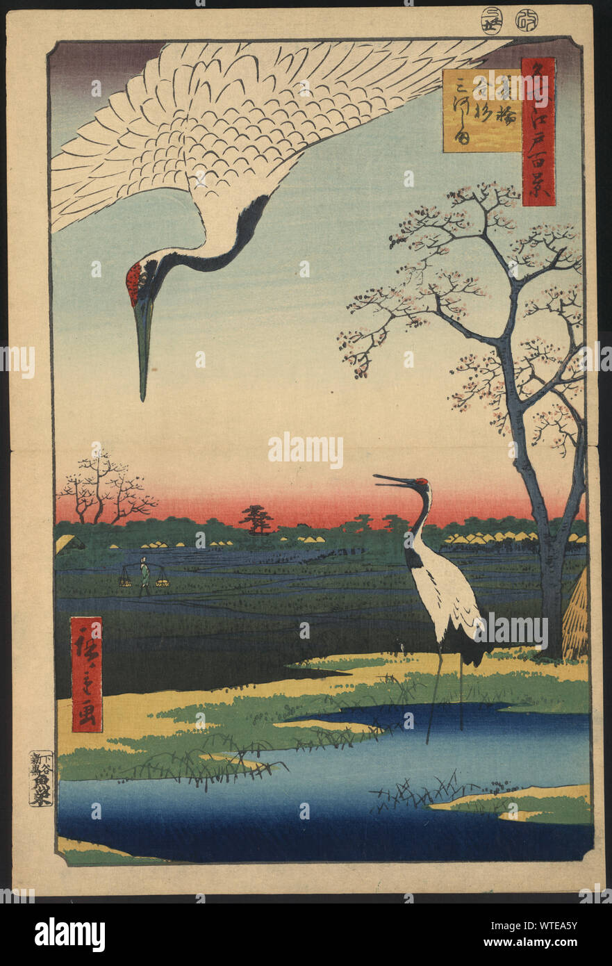 Kanasugi High Resolution Stock Photography and Images - Alamy