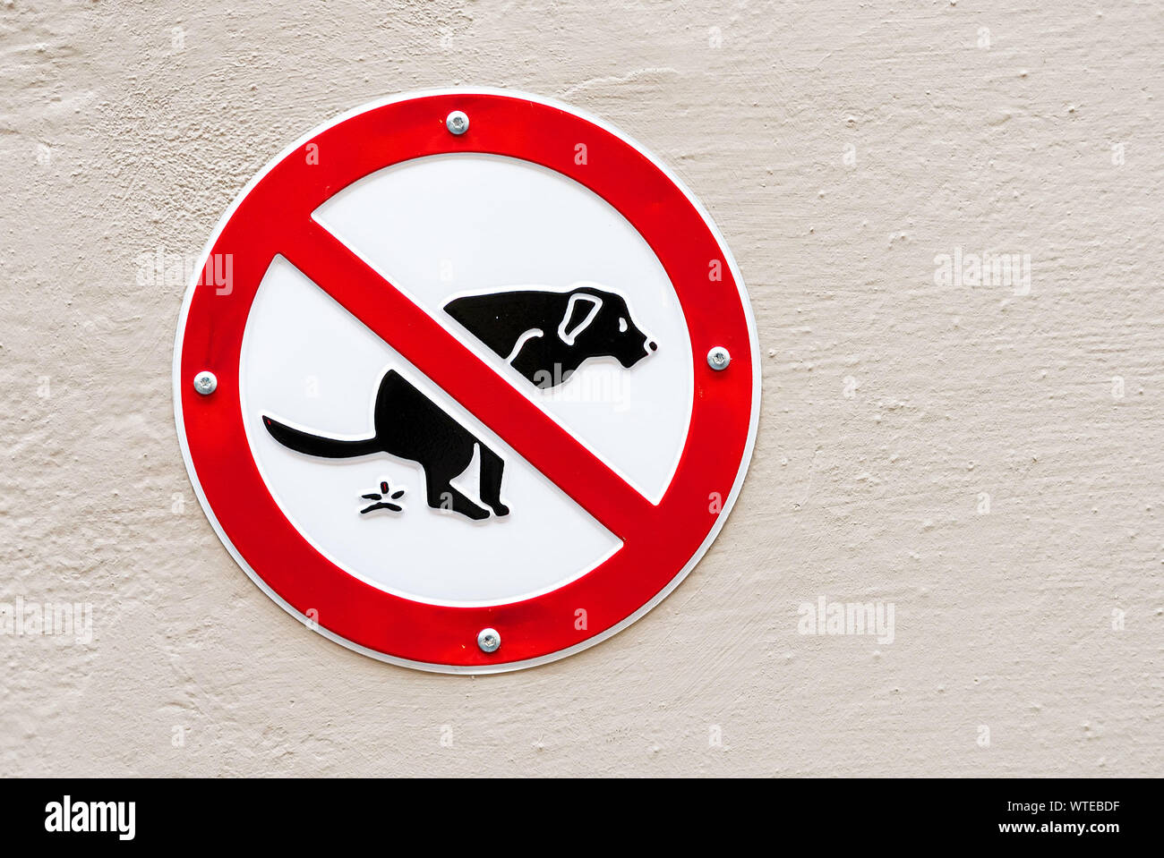 No dogs are allowed hi-res stock photography and images - Alamy