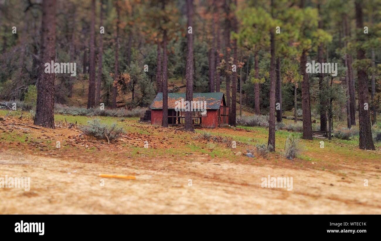 Log cabin on hill hi-res stock photography and images - Alamy
