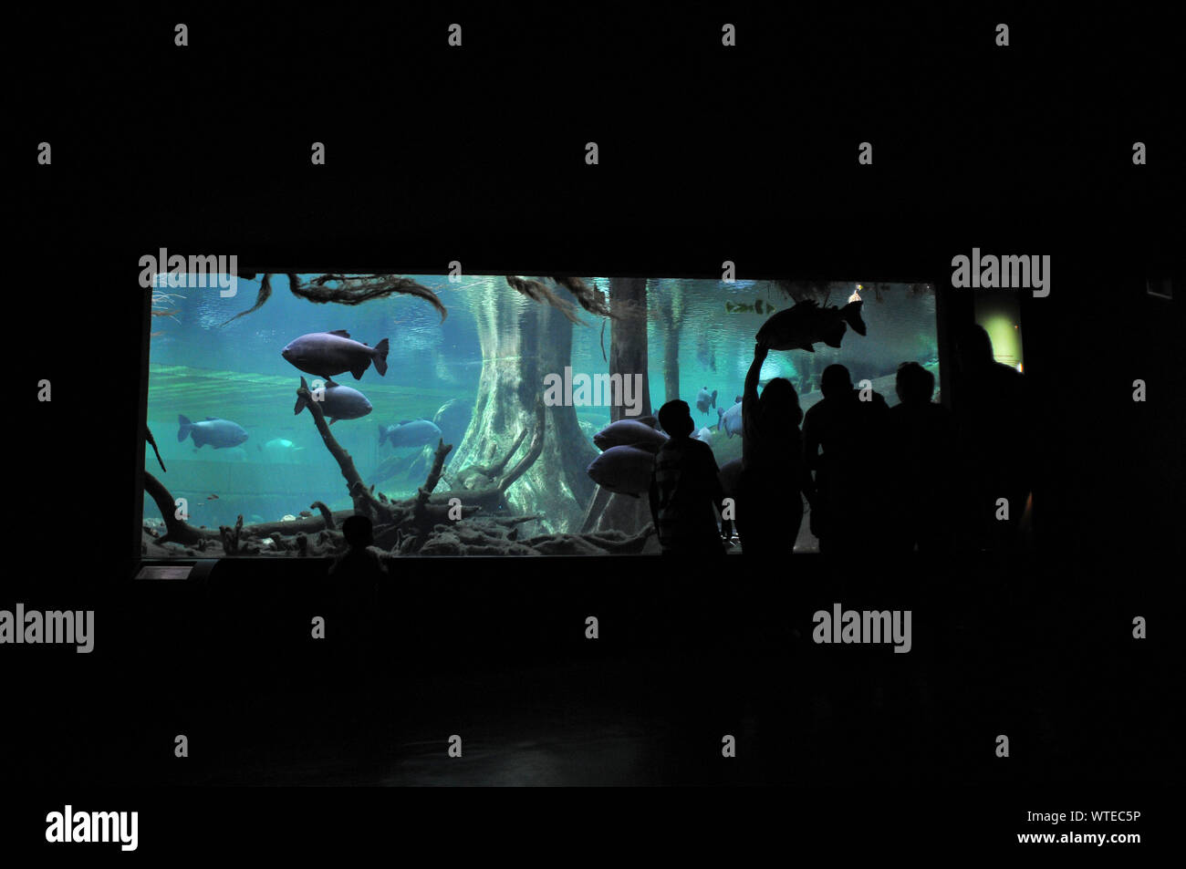 CosmoCaixa - Science Museum, Barcelona, Spain Stock Photo - Alamy