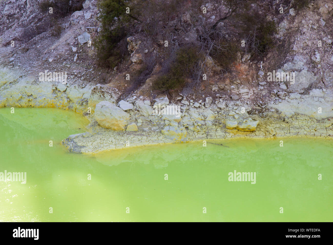 The Devil's Bath at Wai-O-Tapu geothermal area Stock Photo - Alamy