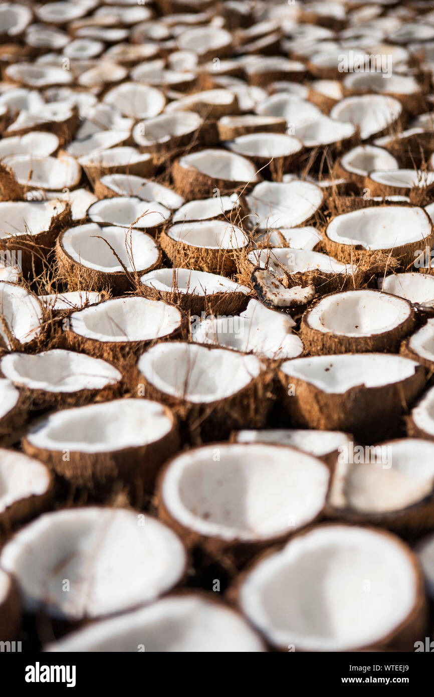Coconut Cross Section High Resolution Stock Photography and Images - Alamy