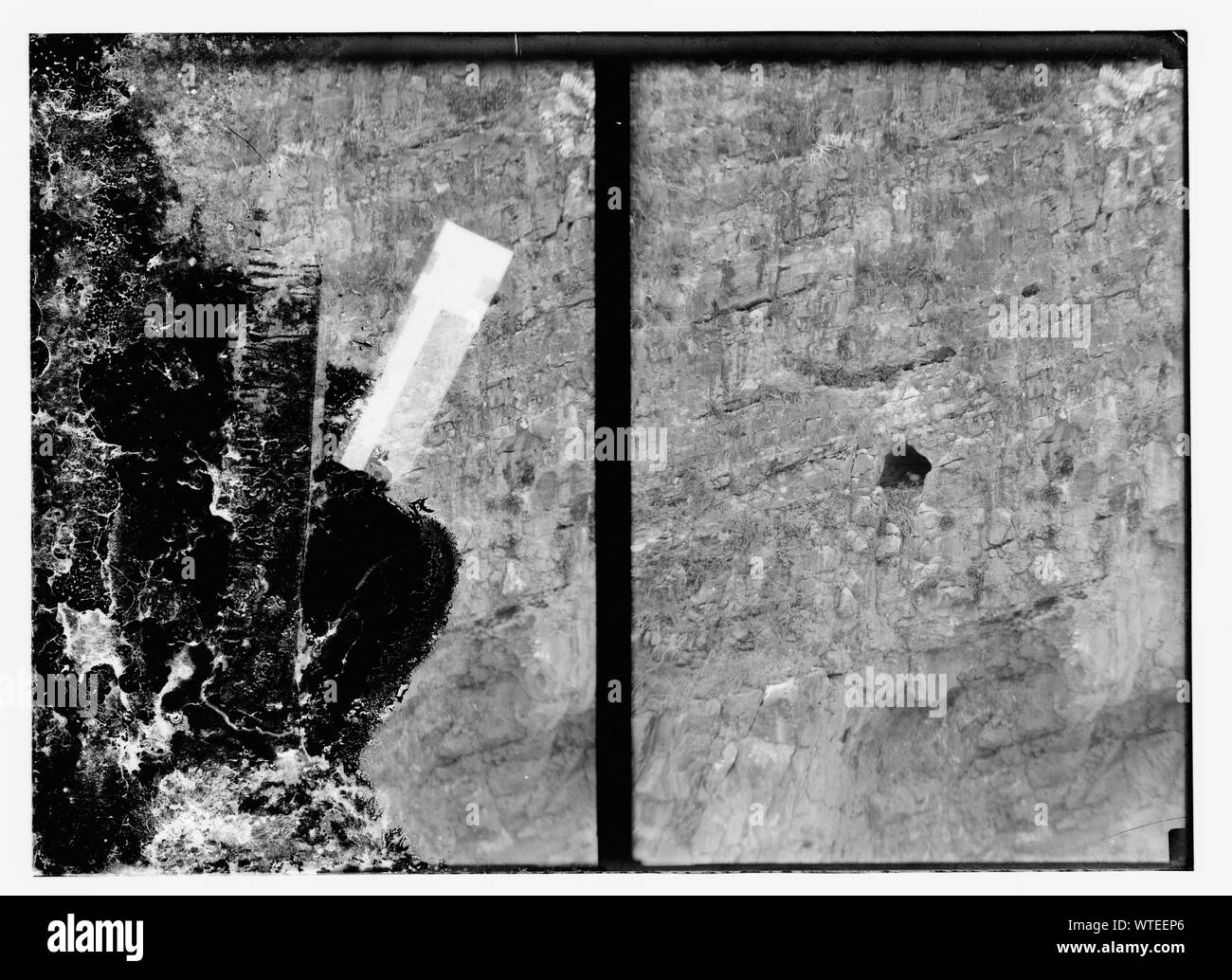 Fauna variety Black and White Stock Photos & Images - Alamy