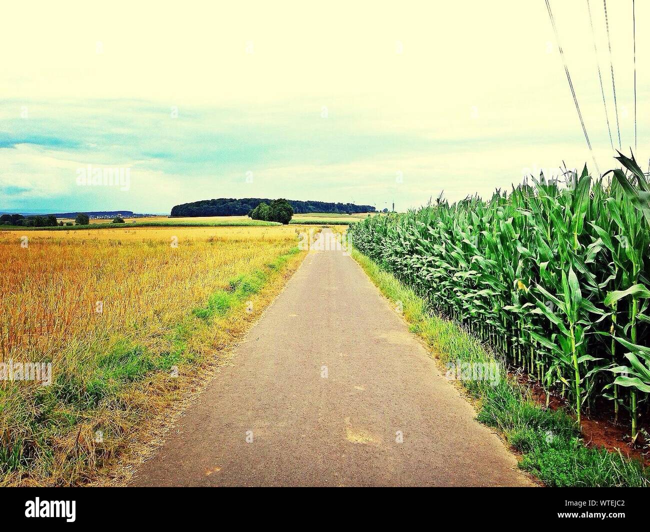 Road corn hi-res stock photography and images - Alamy