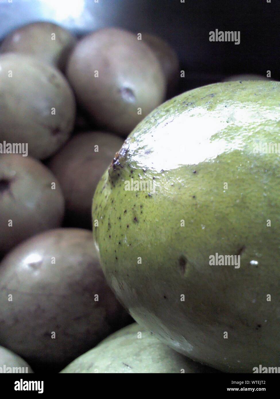Star Apple High Resolution Stock Photography and Images - Alamy