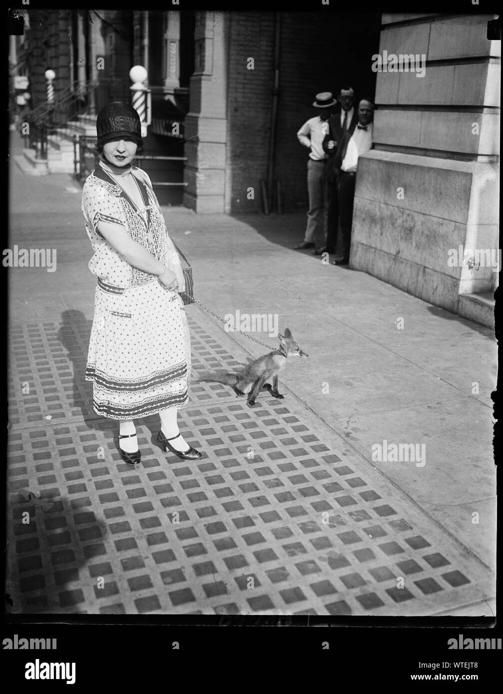 Little miss busy hi-res stock photography and images - Alamy