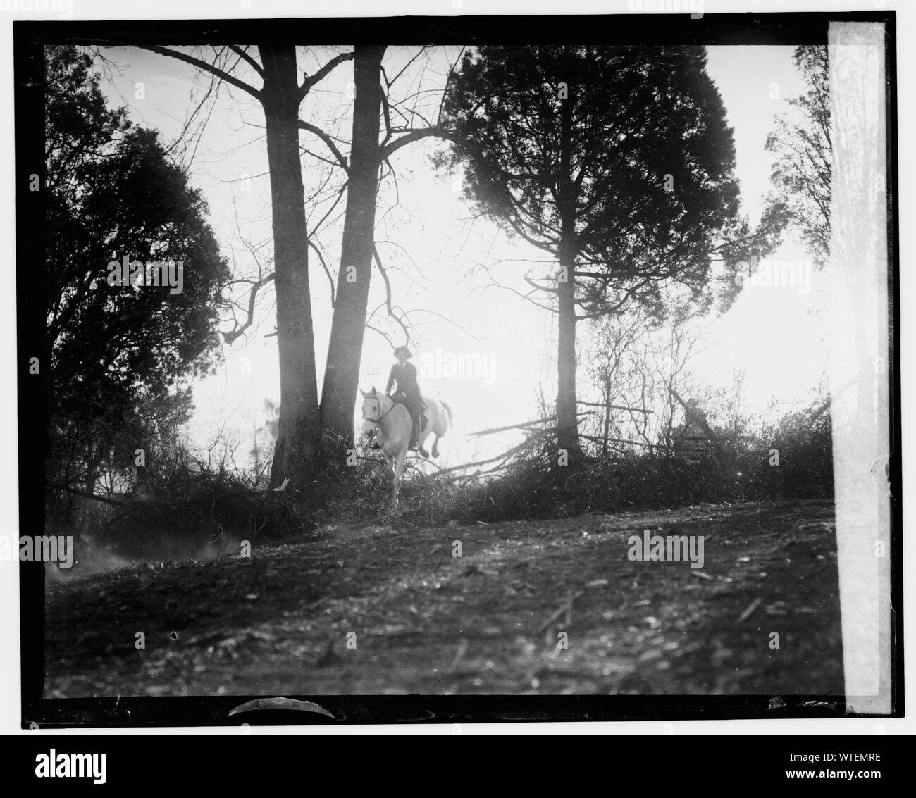 Anna hedrick hi-res stock photography and images - Alamy