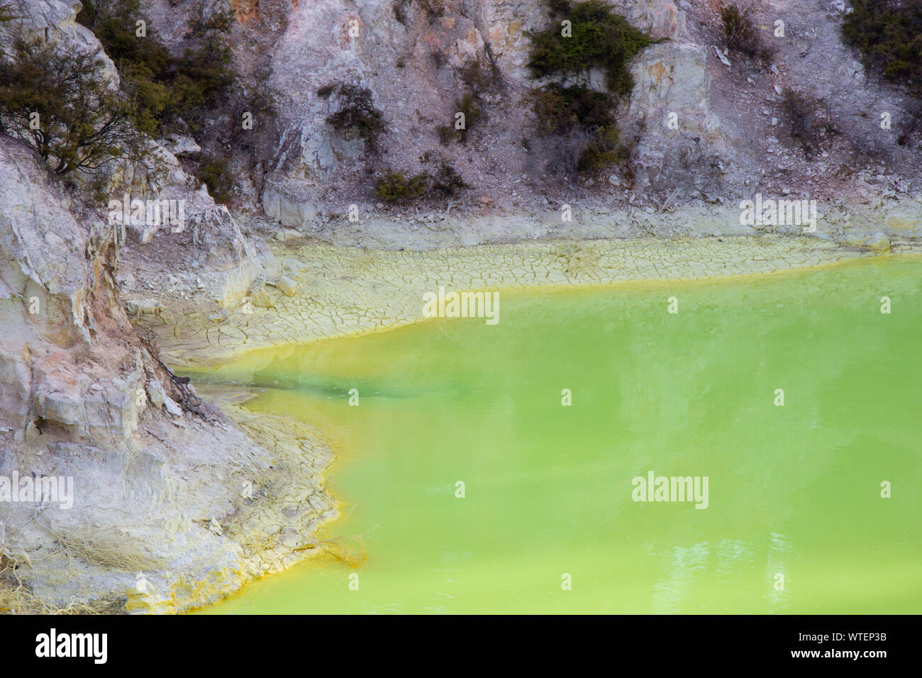 The Devil's Bath at Wai-O-Tapu geothermal area Stock Photo - Alamy
