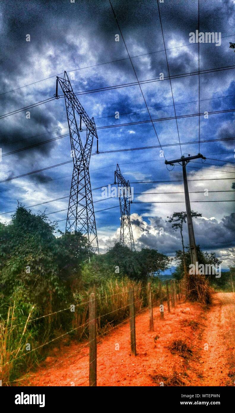Barbed Wire Bush High Resolution Stock Photography and Images - Alamy