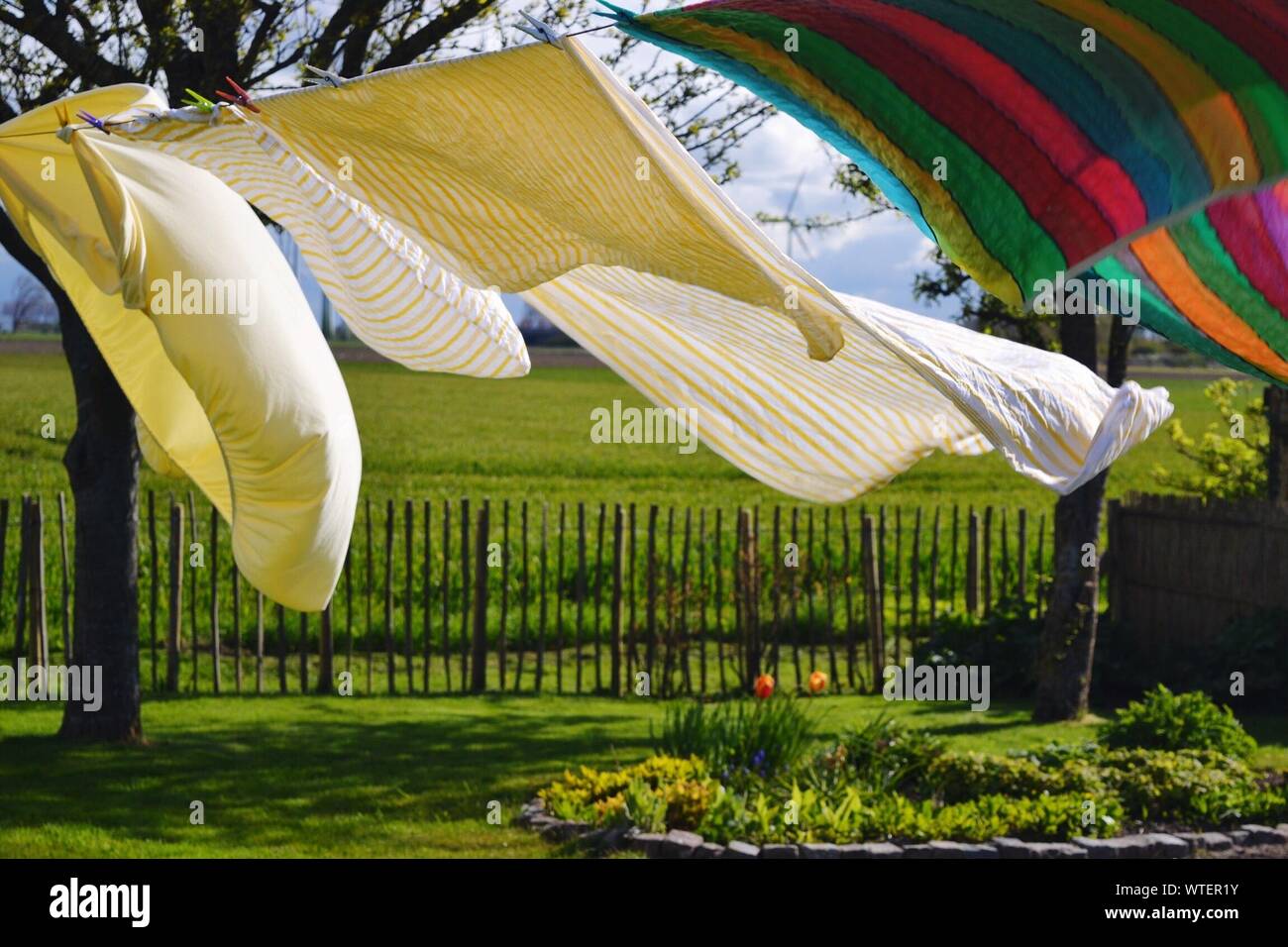Tree sheets hi-res stock photography and images - Alamy