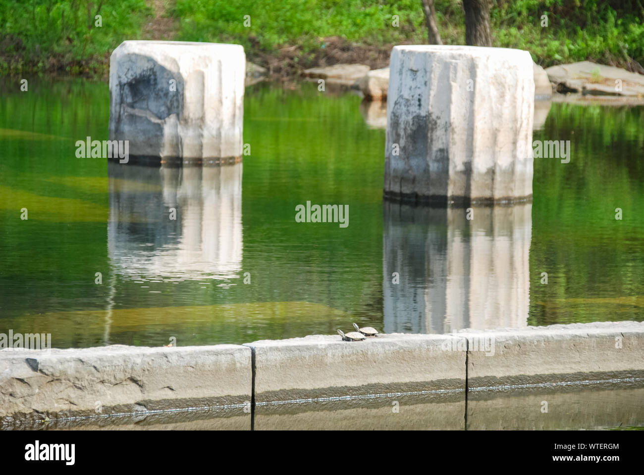 Ancient columns with water reflection at archeological site area Stock ...