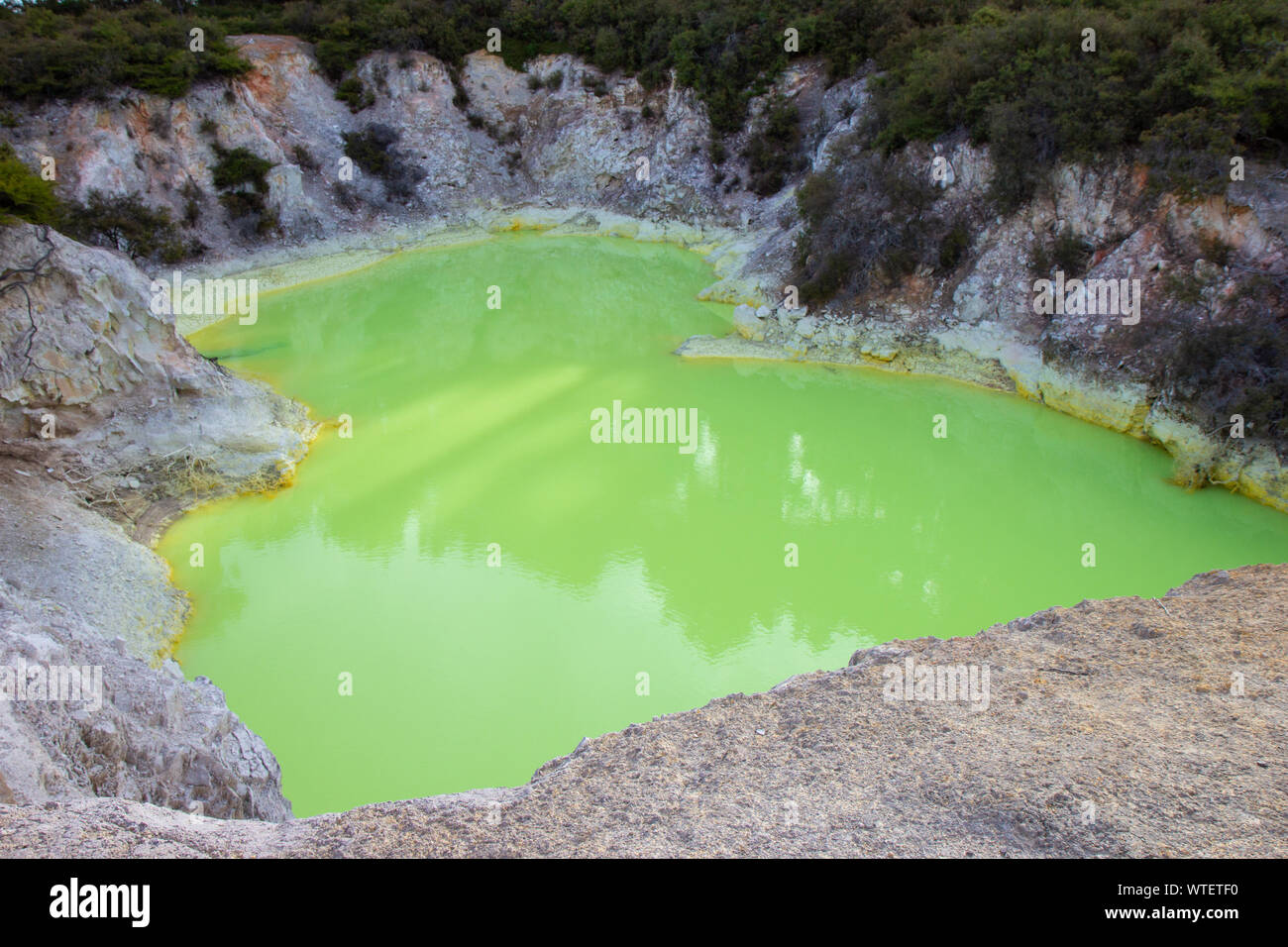 The Devil's Bath at Wai-O-Tapu geothermal area Stock Photo - Alamy